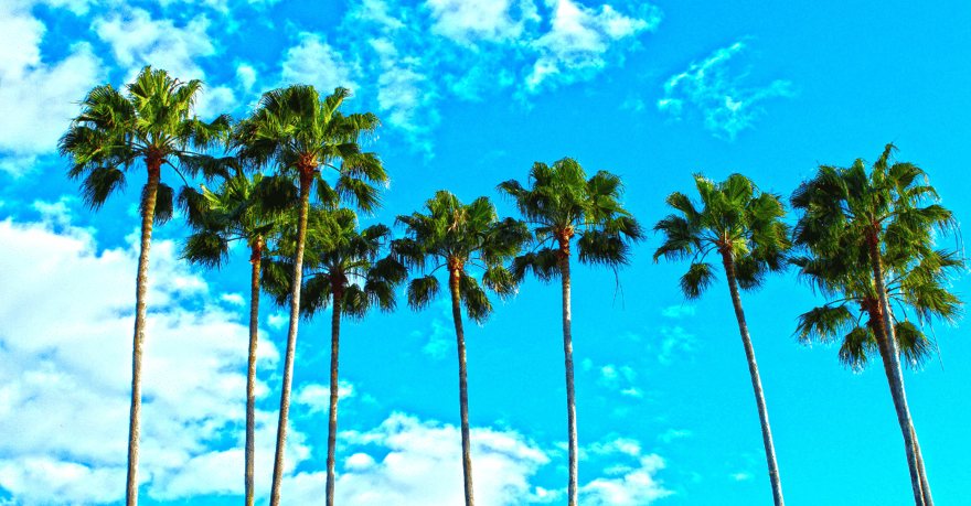 4 Resident Communication Templates for Property Managers